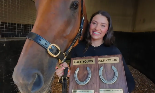 Melbourne and Caulfield Cup winner "Half Yours" - Horseshoes for ...